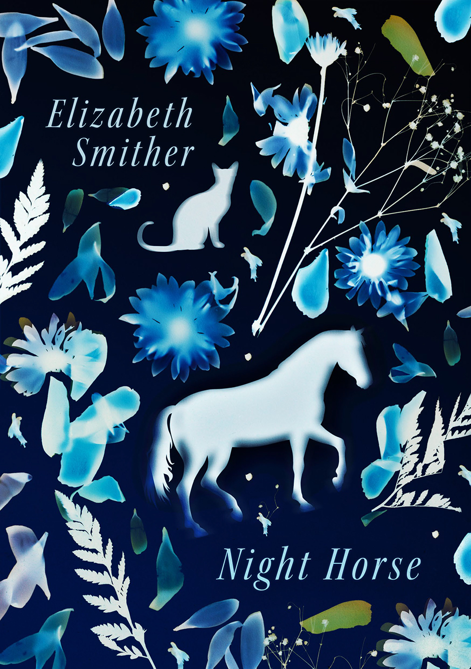 Elizabeth Smither’s Auckland launch | NZ Poetry Shelf