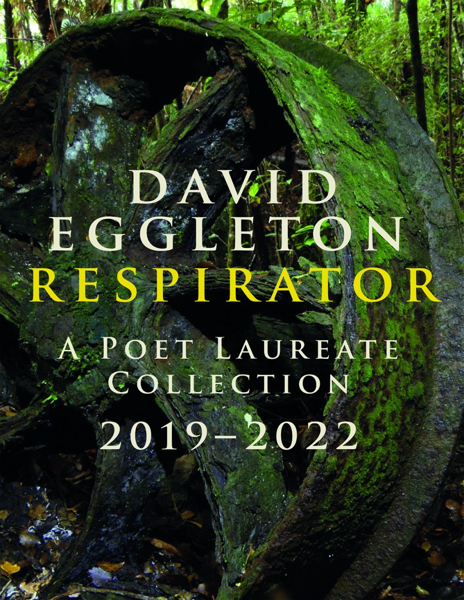 Poetry Shelf review: David Eggleton’s Respirator: A Poet Laureate ...