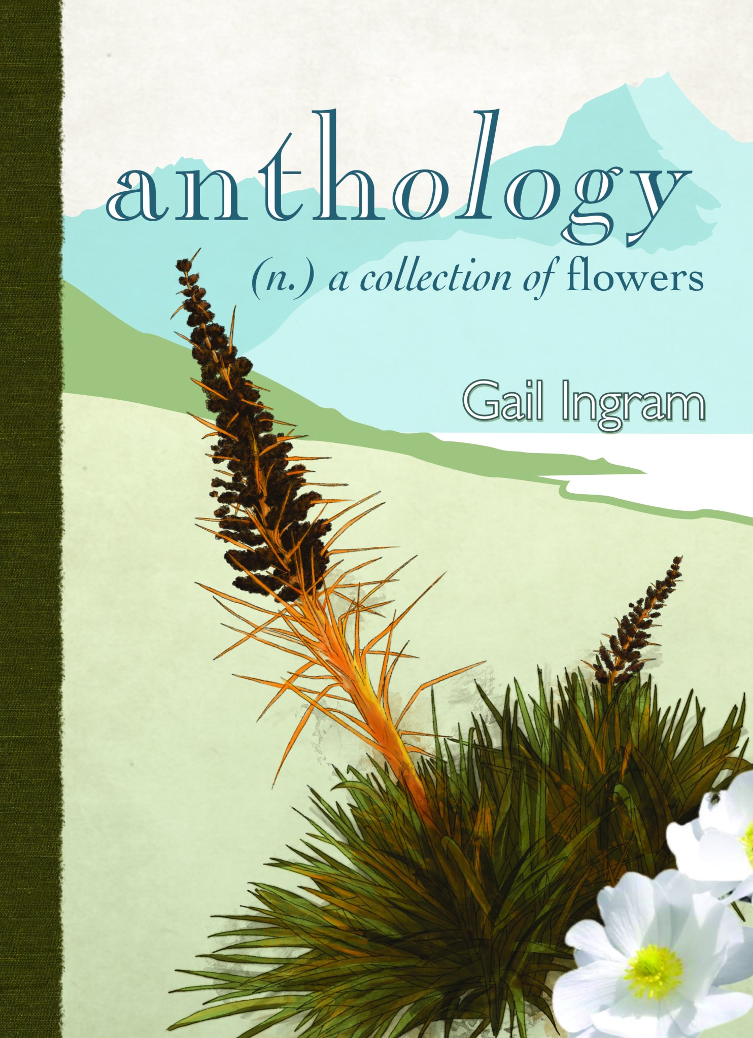 NZ Poetry Shelf | a poetry page with reviews, interviews and other things
